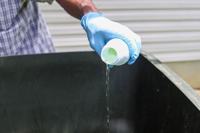 4 Ways You Might Use Bleach in Your Business | Comal Chemical
